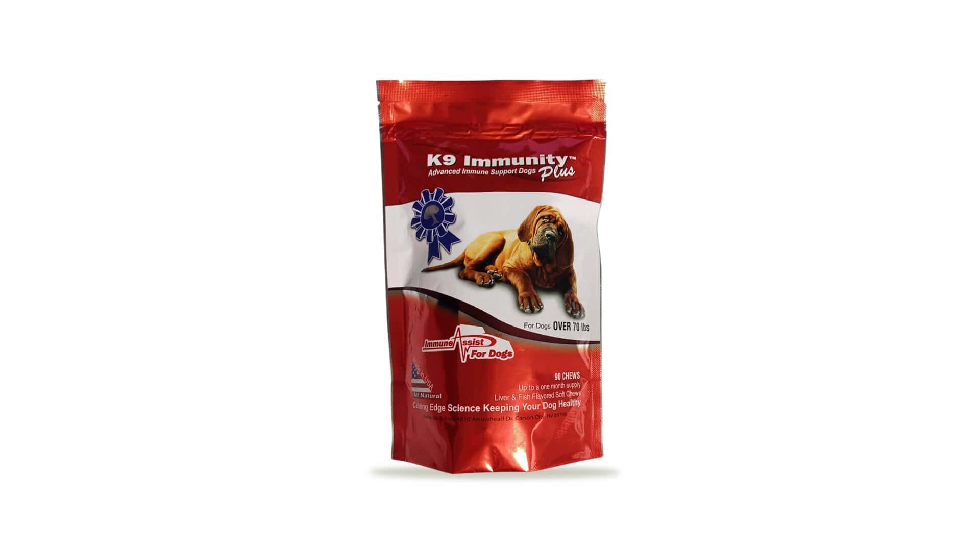 K9 Immunity Plus™ – Trusted Cancer Support for Dogs