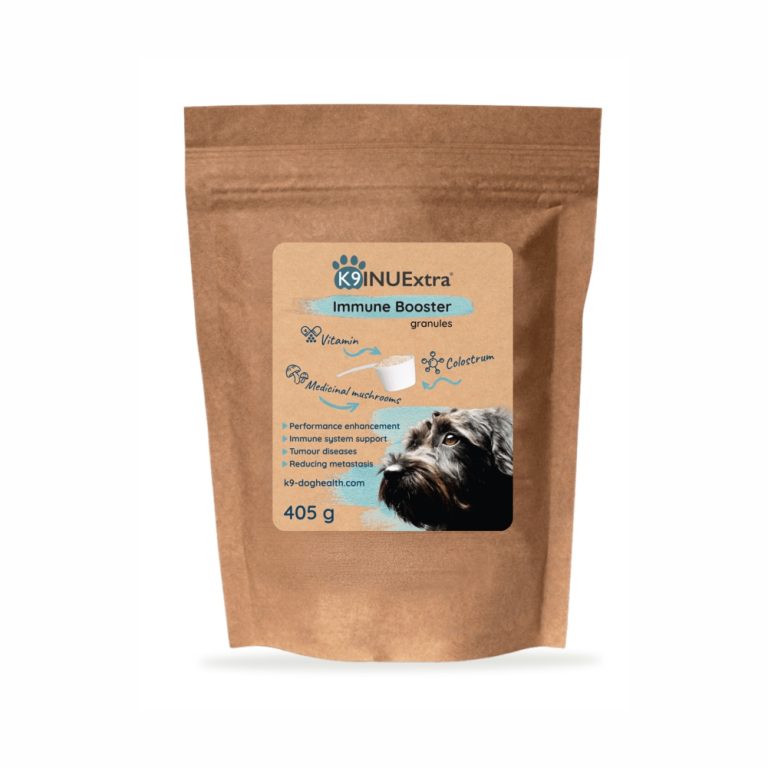 Síntomas de cáncer en perros: 10 señales que indican cáncer | K9 INU®