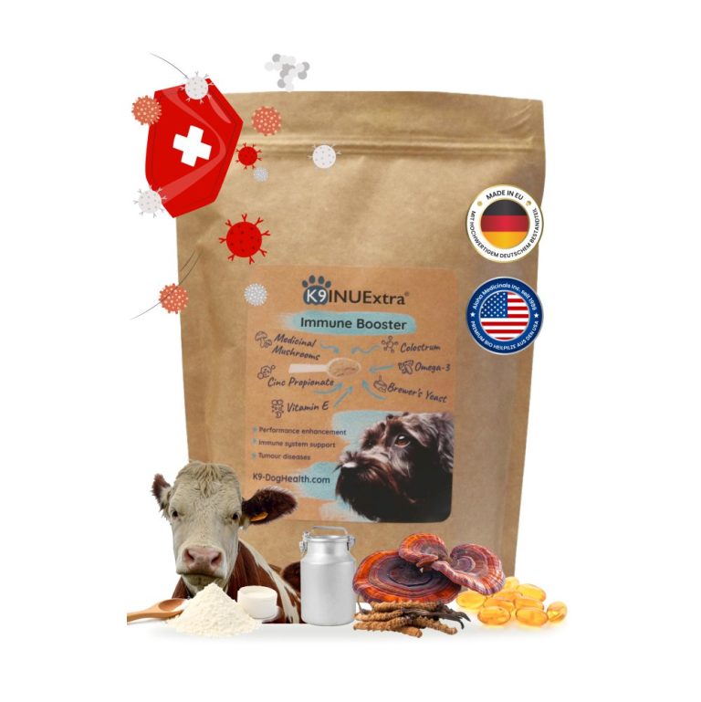 Lymfoom bij honden - Oorzaken, symptomen en hoe u kunt helpen | K9 INU®